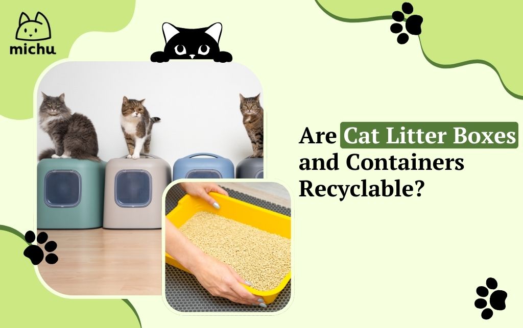 Are Cat Litter Boxes Recyclable? - Guide to Eco-Friendly Disposal ...