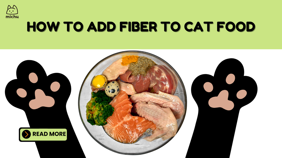 How to Add Fiber to Cat Food: Easy Tips – MichuPet
