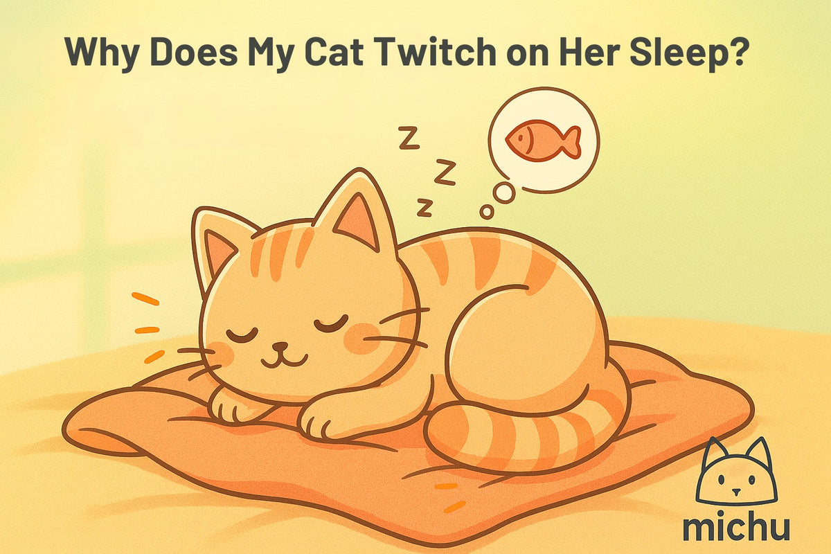 Cat Twitching in Sleep Explained – Causes & Meaning – MichuPet